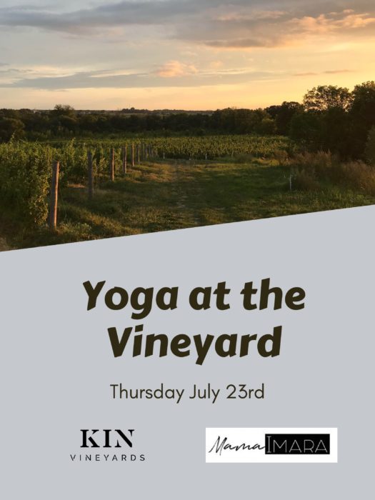 Home - KIN Vineyards