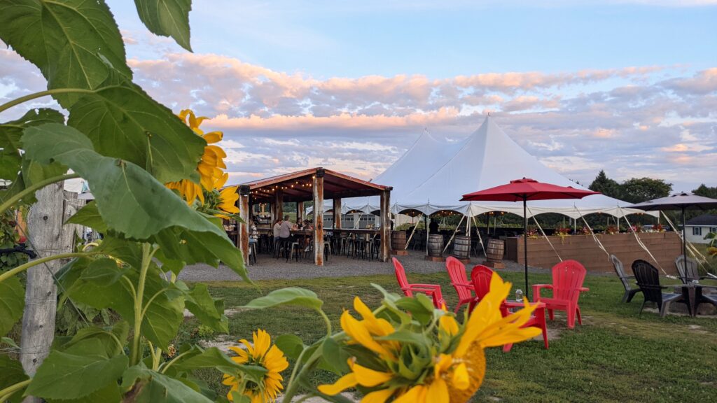 Home Page - KIN Vineyards